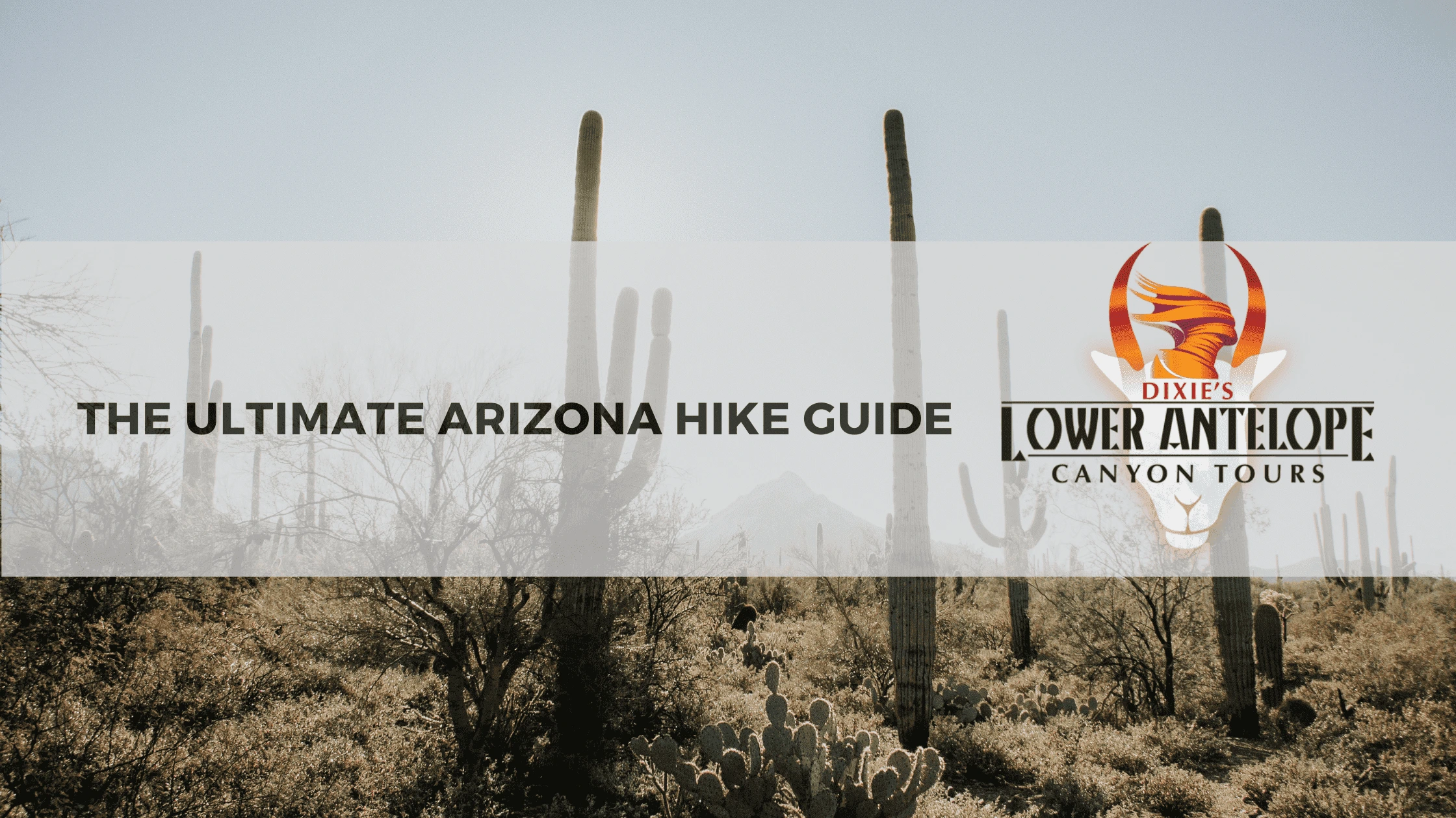 The Ultimate Arizona Hike Guide - Dixie's Antelope Canyon Tours